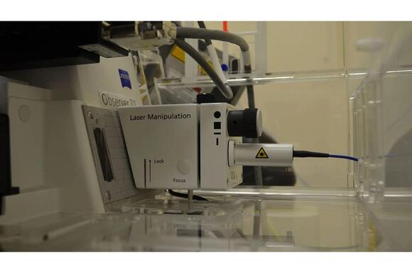 How Lab-Grown Habitats Mimic Nature for Research - NewsBreak