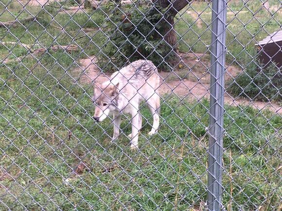 October Marks Substance Youth Prevention Month In North Dakota - NewsBreak