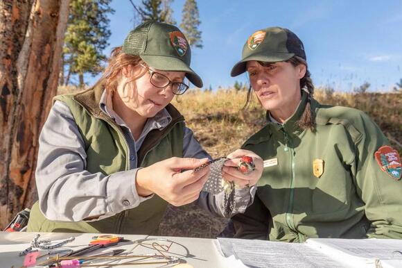 What It Takes to Be a Wildlife Biologist: Exploring Careers in Animal ...