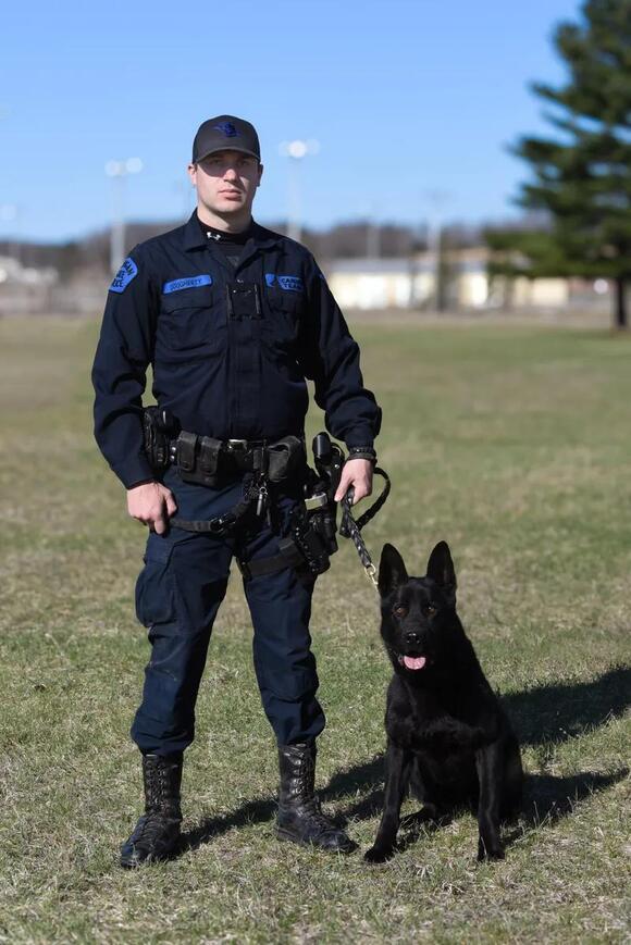 MSP K9 exposed to illicit drugs during search of Flint home, expected ...