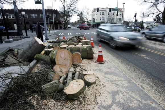 The Reality Of Commuting In Traffic-Choked Seattle - NewsBreak