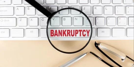 Weekly Bankruptcy Alert March 30, 2026 (For the Week Ending March 29 ...