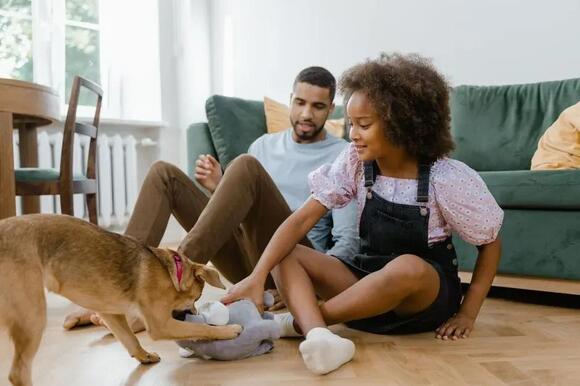 10 Things You’re Doing That Make Your Dog Think You’re the Weakest Pack ...