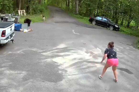 Bear chases dog and Minnesota woman in heart-pounding video: ‘Lunged at me’