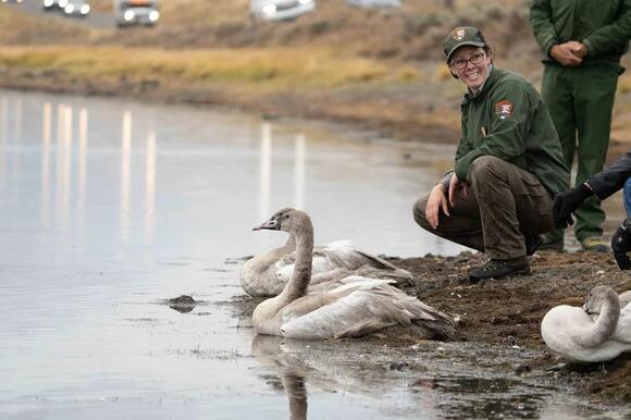 What It Takes to Be a Wildlife Biologist: Exploring Careers in Animal ...