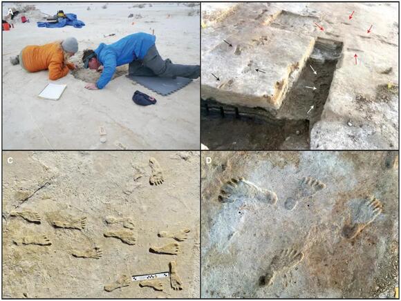 The Bering Land Bridge: Uncovering The Secrets Of Ancient Migrations ...