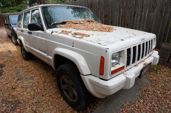 Multiple tort claims filed against Boise for police shooting damage