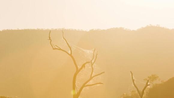 Temps are rising, but what’s happening to humidity? - NewsBreak