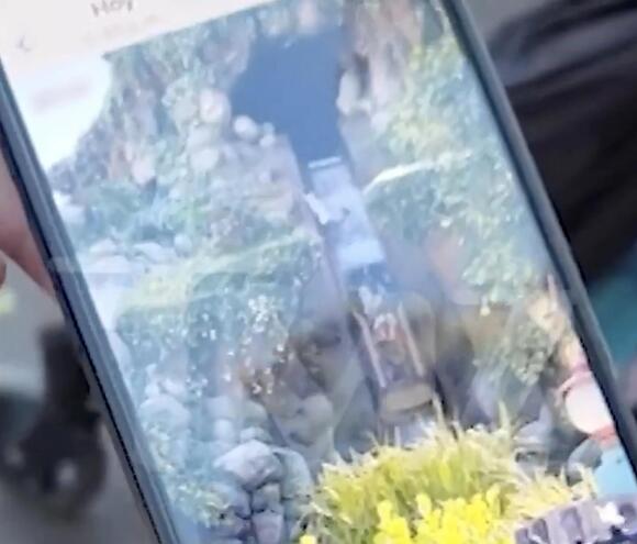 Video Shows A Teen Fall Down Disneyland Waterfall Ride - NewsBreak