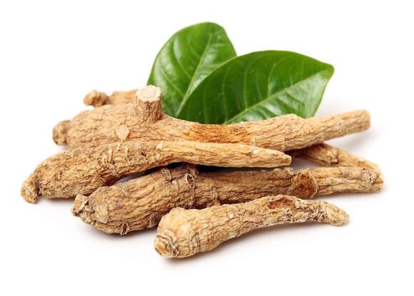 Ginseng Prices in 2024: Cost Per Pound and What to Expect When Buying ...