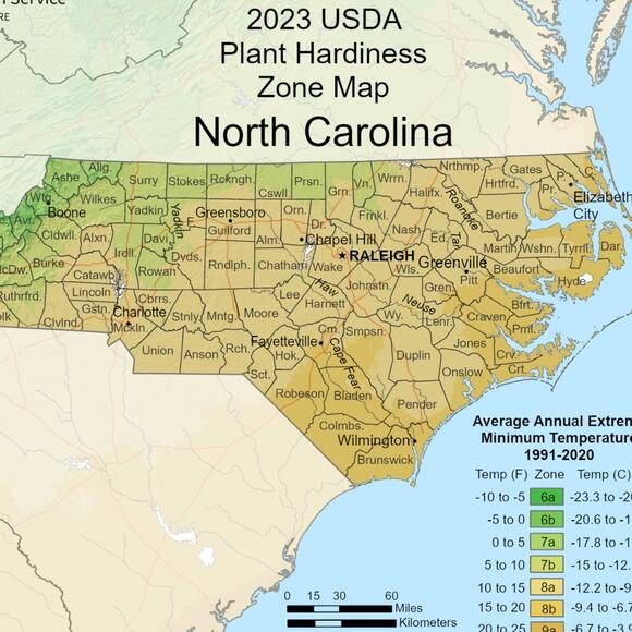 Planting Zones In N.C. – USDA Zone Map For North Carolina - NewsBreak