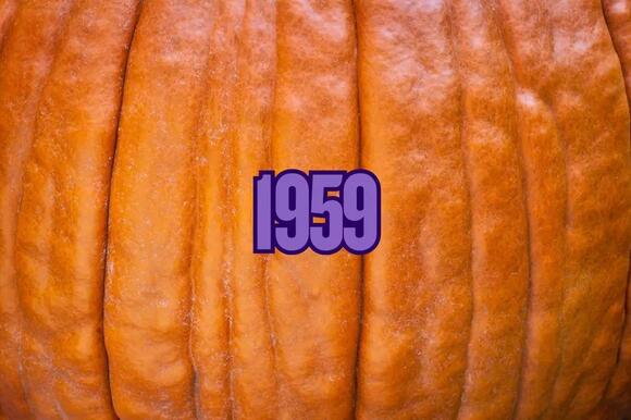 Did Maine’s Biggest Pumpkin of 2025 Crack the All-Time Top 10? - NewsBreak