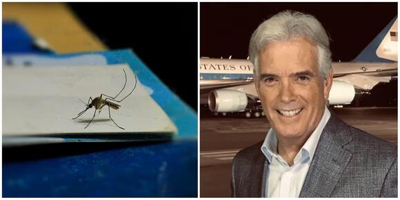 Fox News Anchor Hospitalized With 'Severe Case' Of Malaria - NewsBreak