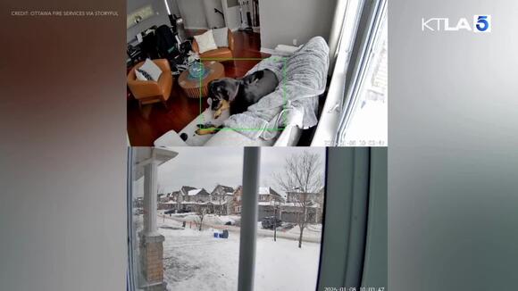 Video: Dog chewing heated glove starts fire in home’s living room ...