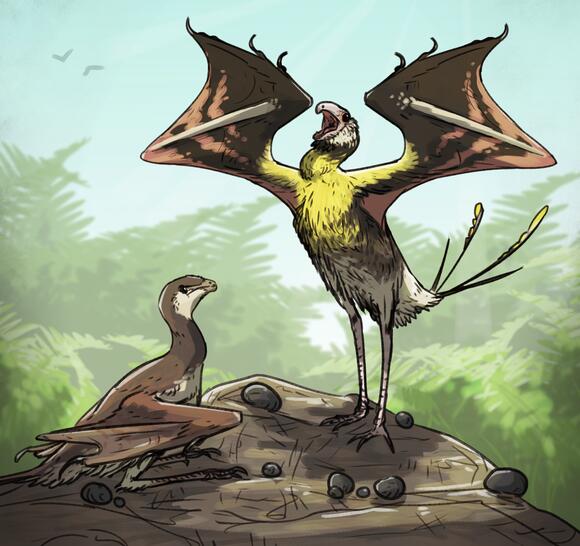 Could Dinosaurs Have Evolved Gliding or Soaring Abilities Like Bats ...