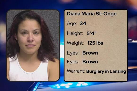 Crime Stoppers of Mid-Michigan Reveal 9 Most Wanted Suspects - NewsBreak