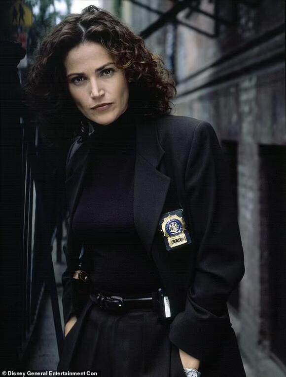 New twist in NYPD Blue star Kim Delaney's arrest drama after she was ...