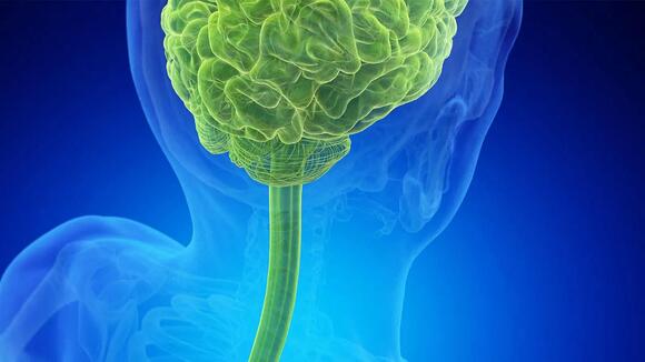 No Difference in Complications for Chiari I Surgical Approaches in Kids ...