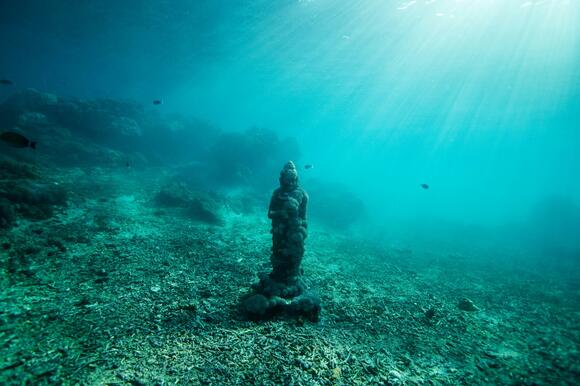 10 Scientific Mysteries of the Deep Sea That Still Puzzle Researchers ...