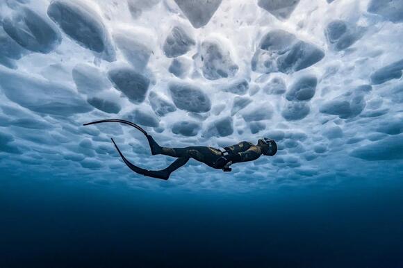 13 Awe-Inspiring Winners From the 2026 UN World Oceans Day Photo ...