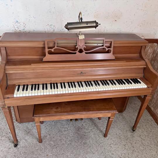 🎁 Freebies Up for Grabs in City of North Tonawanda - NewsBreak