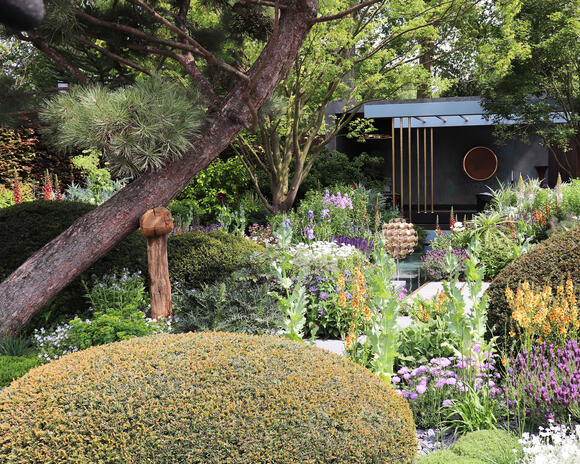 Jennifer Aniston Has Mastered the Art of the Japanese Garden With ...