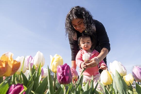 Ooltewah Tulip Festival held at Aubie Smith Farms - NewsBreak
