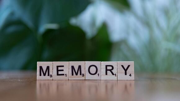 20 Surprising Science-Backed Memory Hacks - NewsBreak