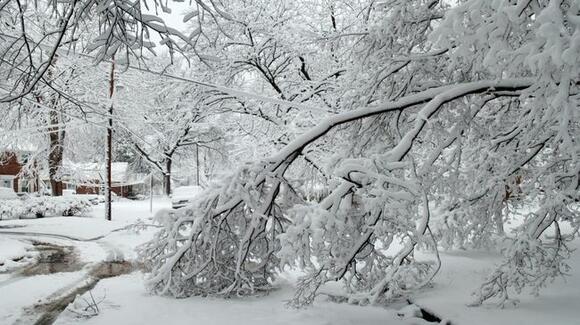 Utah Winter Storm Brings Widespread Power Outages And School Delays ...