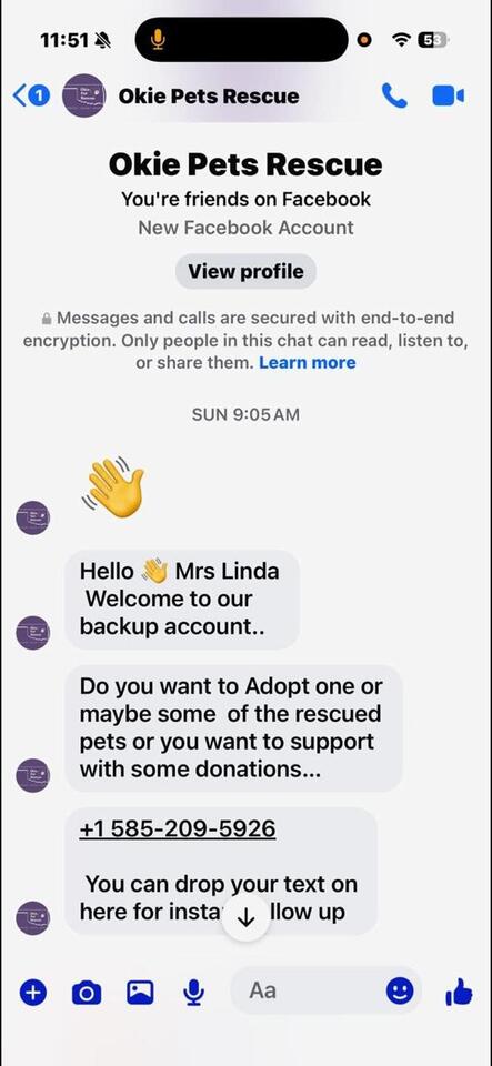 Okie Pet Rescue warns of fake page attempting to collect donations ...