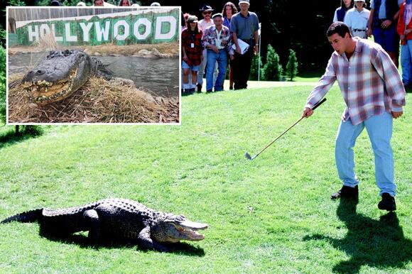 Alligator from ‘Happy Gilmore’ dies of ‘old age’ — but will continue to ...
