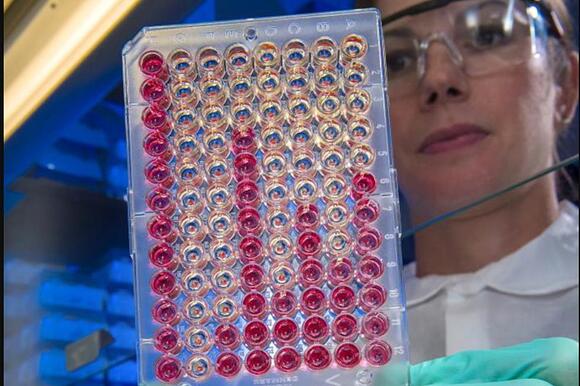 New York Debating Massive Changes To Vaccine Guidance - NewsBreak