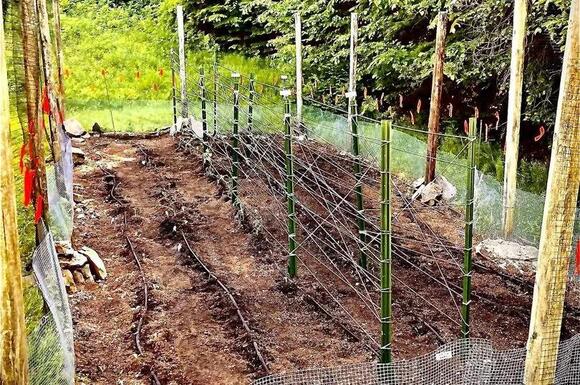 Super Size Me's Morgan Spurlock seen working in his garden and fishing ...