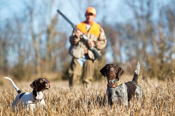 NY Hunting and Trapping Licenses for 2025-26 Now Available - NewsBreak