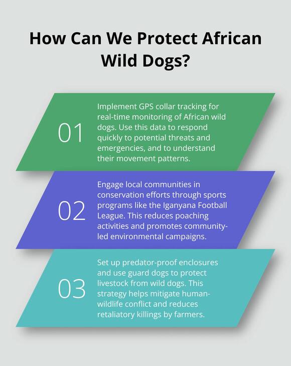 Latest African Wild Dog Conservation News - NewsBreak