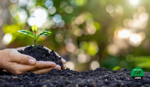 Bloomsburg University to host Earth Day activities