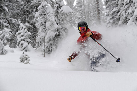 The 8 Best Resorts for Tree Skiing in North America