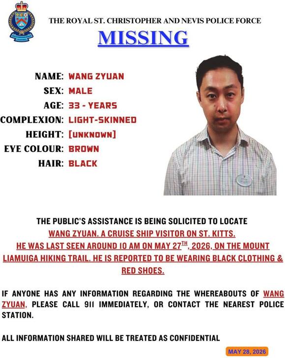Frantic Search After Chinese Man From Cruise Ship Goes Missing While ...
