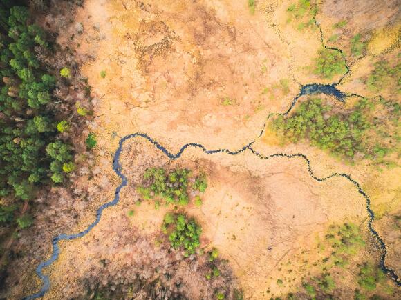 Five Red Flags Scientists Track to Detect a Modern Mass Die-Off - NewsBreak