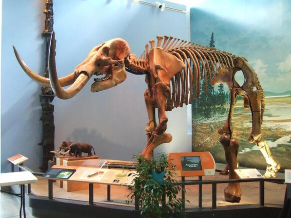 Is There Evidence of Prehistoric Human Activity in Unexpected North ...