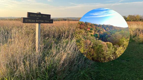 Dubuque County’s Fall Colors Starting to Pop at Whitewater Canyon ...