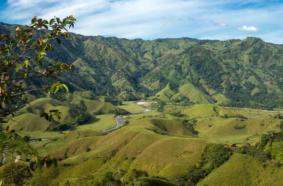 Experts stunned by incredible comeback of unique creatures driven to ...