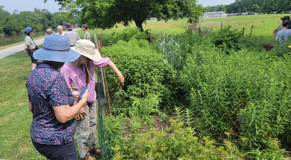 Bird Harbor opens at Great Embankment Park in Pittsford
