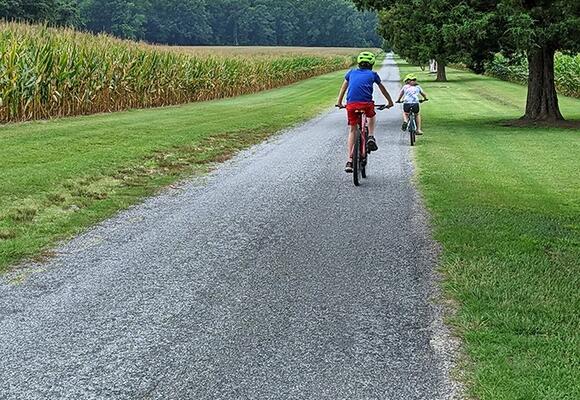 Chippokes Plantation State Park in Surry County is located on 1,947 ...
