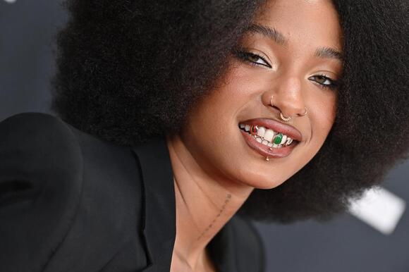 Willow Smith's Grammys Appearance Sparks Buzz Over Her Teeth – Photos ...