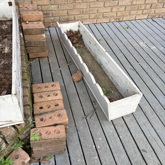 🎁 Freebies Up for Grabs in Athens — Plants, Wood & More - NewsBreak