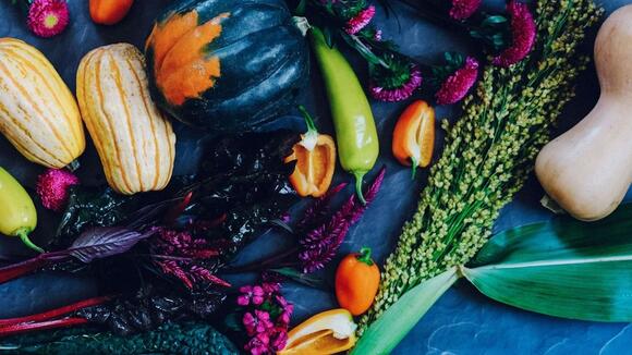 The Foods Ancient Humans Ate That Have Completely Disappeared Today ...