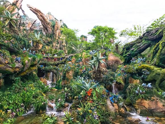 How Climate Change is Accelerating Evolution in the Animal Kingdom ...
