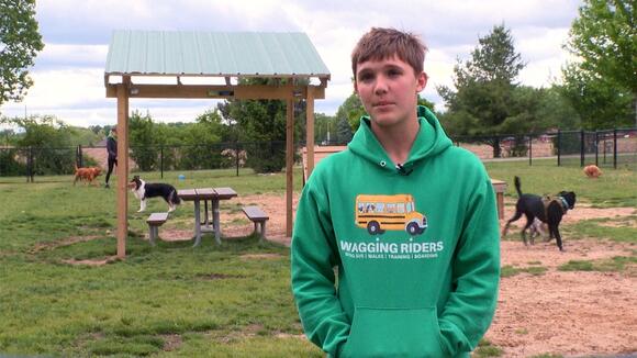 Bus-ling Tails: Byron Center mother-son duo drives dog bus to success ...