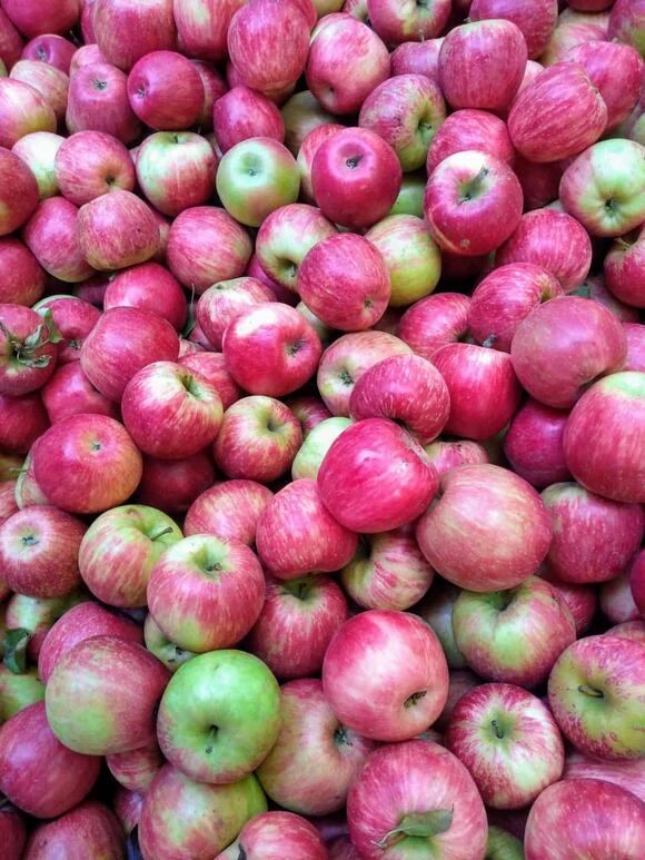 Why Are Honeycrisp Apples So Expensive? The Real Reasons Behind the ...